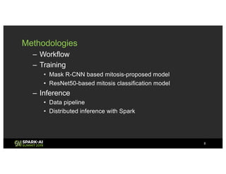 A Distributed Deep Learning Approach for the Mitosis Detection from Big Medical Images | PDF