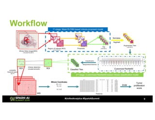 A Distributed Deep Learning Approach for the Mitosis Detection from Big ...