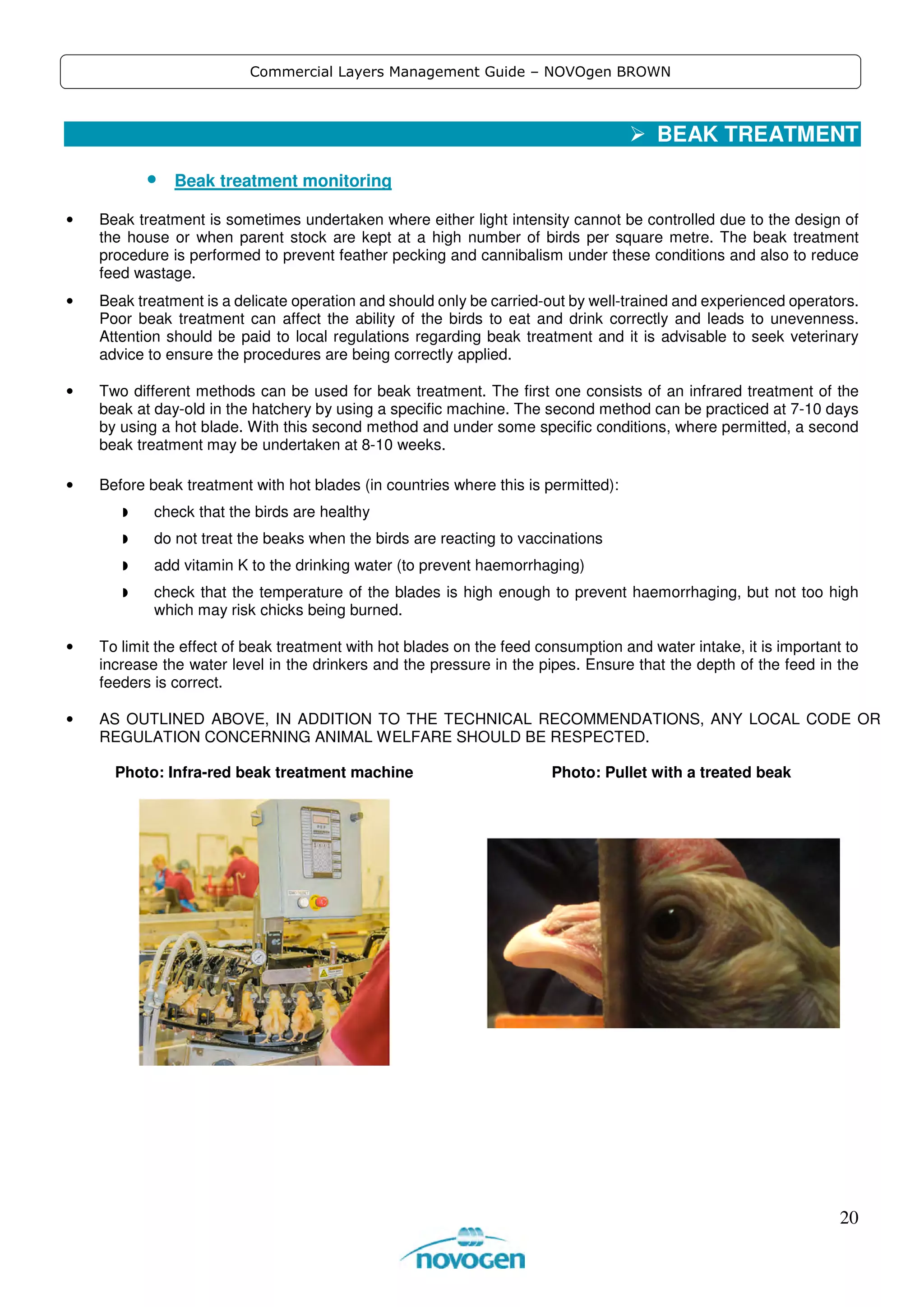 NOVOgen BROWN -- Commercial Layers Management Guide | PDF