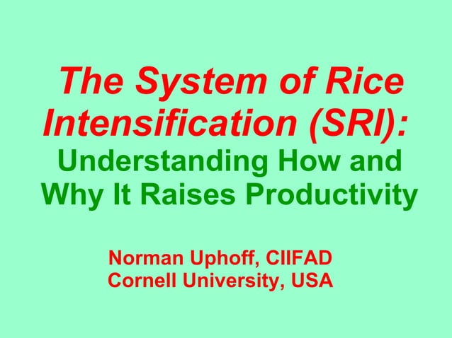 The System of Rice Intensification (SRI): Understanding How and Why It ...