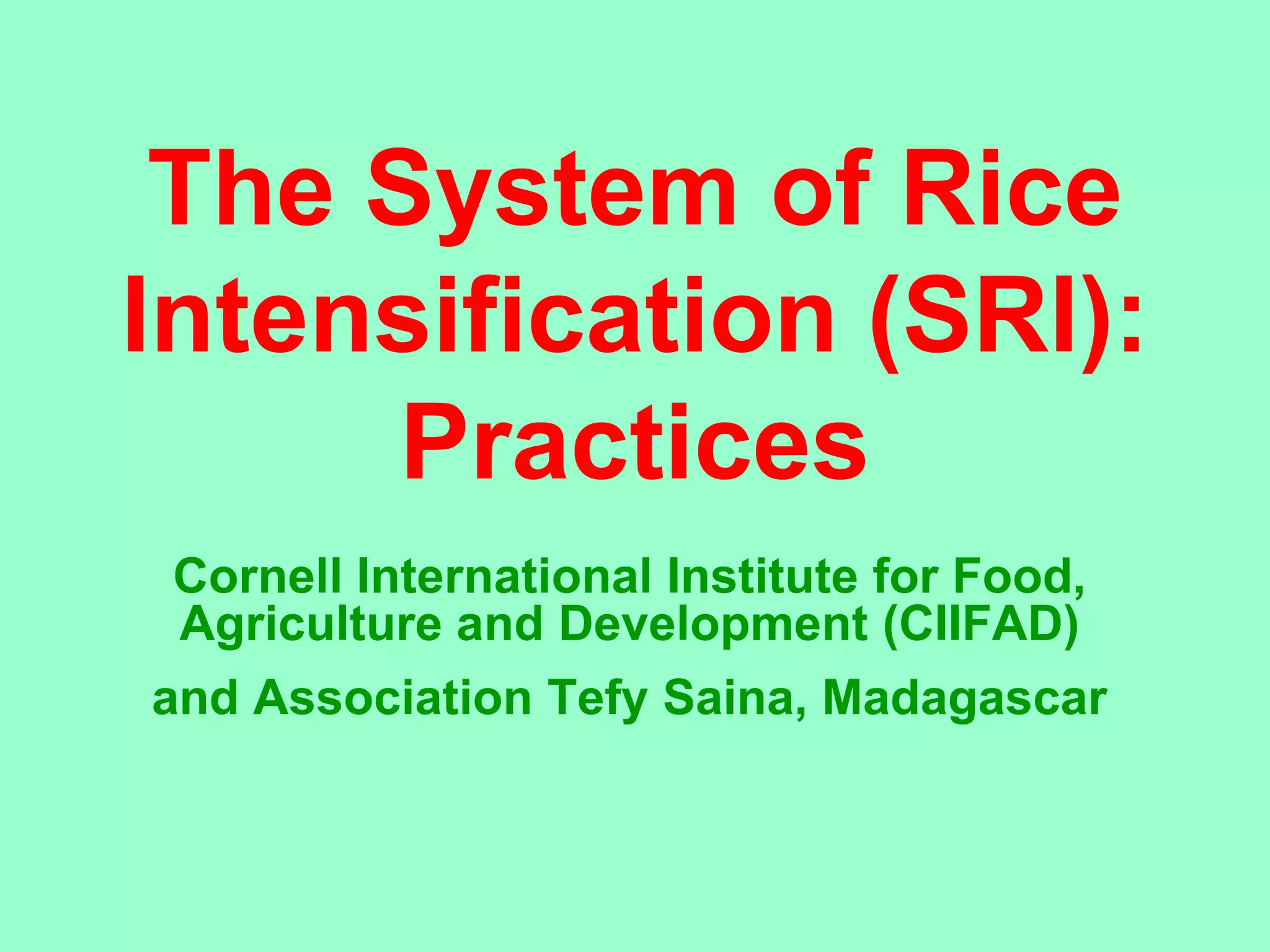 0426 The System of Rice Intensification (SRI): Practices - Part II | PPT
