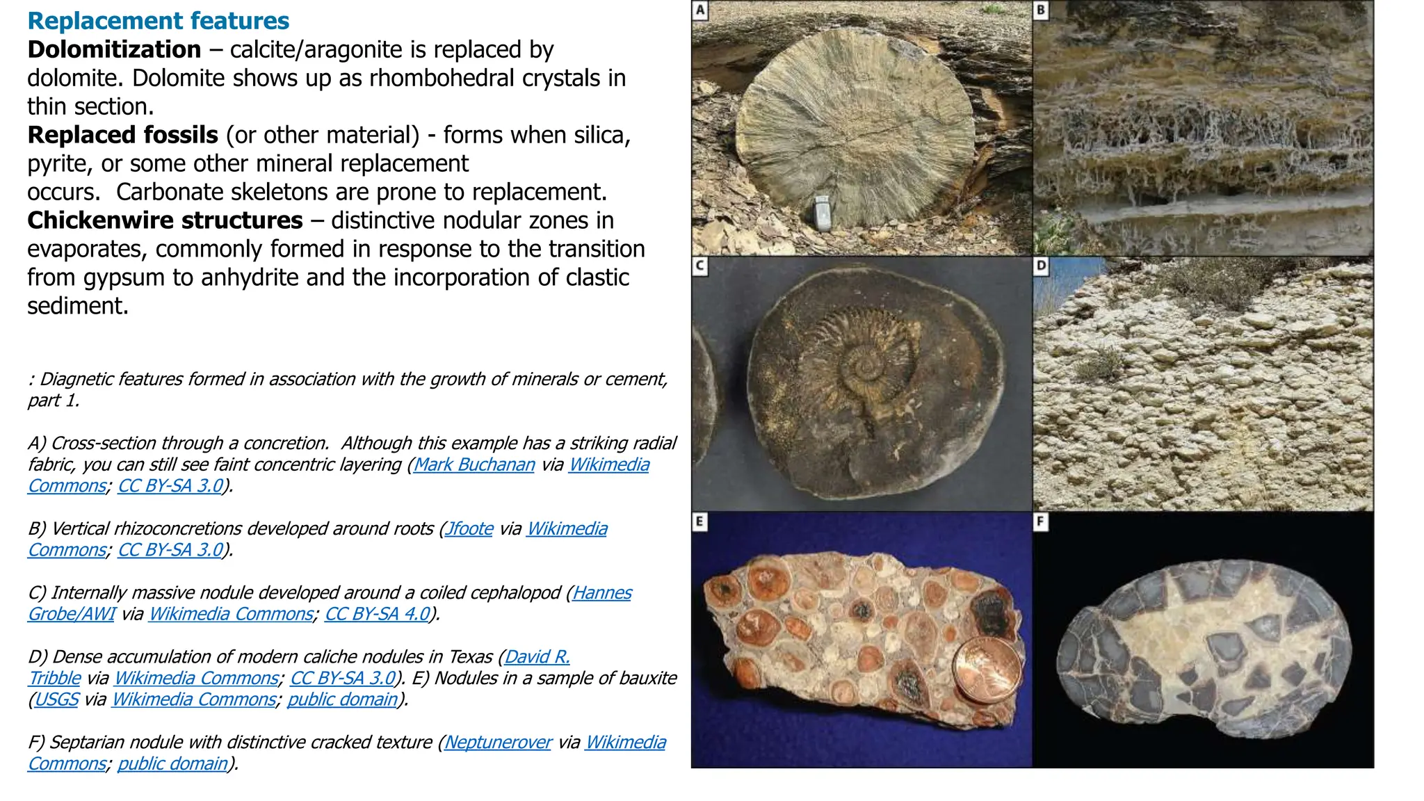 Sedimentary Structure in the oil and gas industry | PPTX