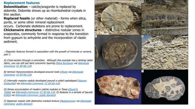 Sedimentary Structure in the oil and gas industry | PPT