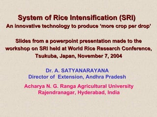 0430 System of Rice Intensification (SRI) | PPT
