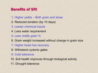 0430 System of Rice Intensification (SRI) | PPT