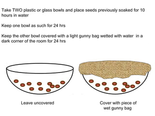 044 parameters for germination of seeds | PPT