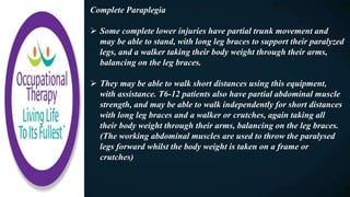Occupational Therapy and Spinal Cord Injury | PPTX