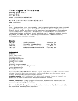curriculum Alejandro Torres (ingles) | DOCX