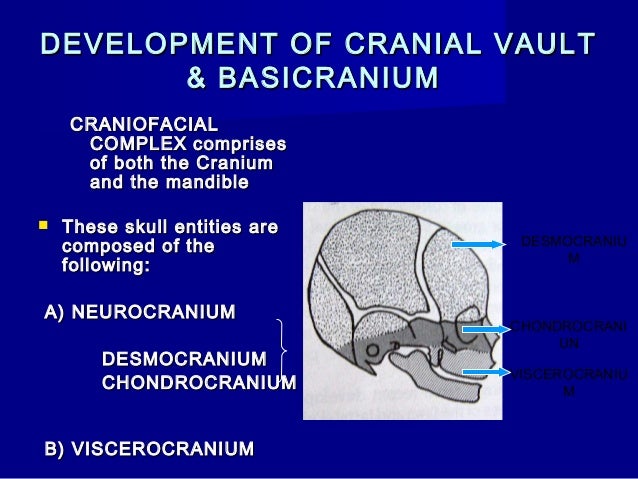 Development of Craniofacial complex