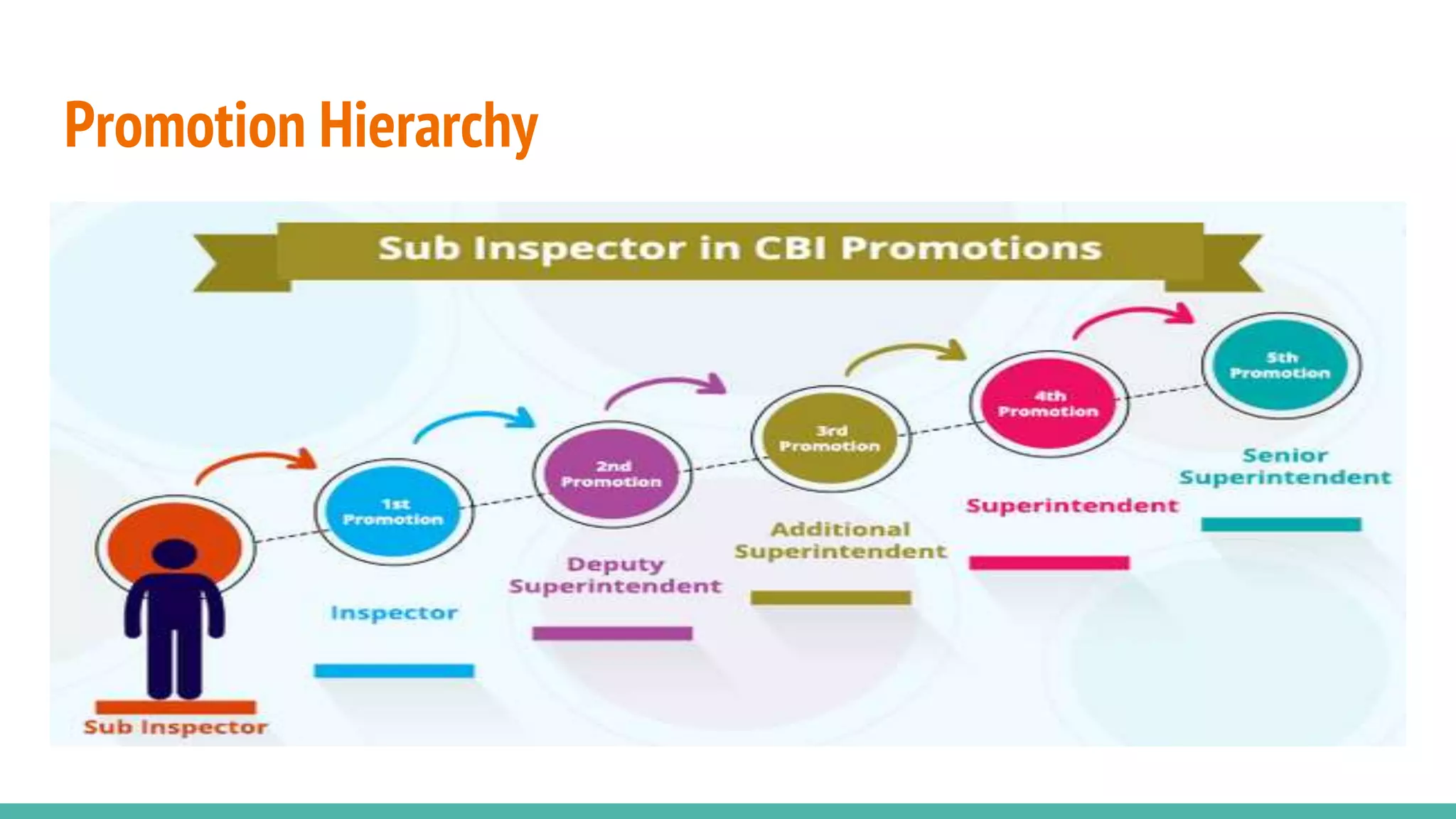 047# The Peter Principle.pptx