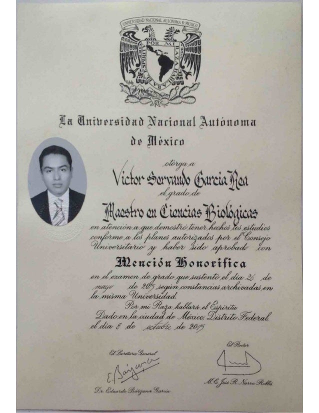 7. Título maestría