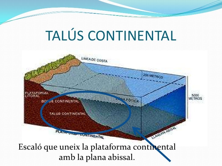 04 alejandro gaviria, josefina, nerea, gustavo