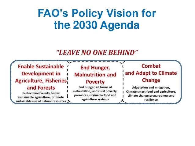 Building a common vision for sustainable food and agriculture – in th…