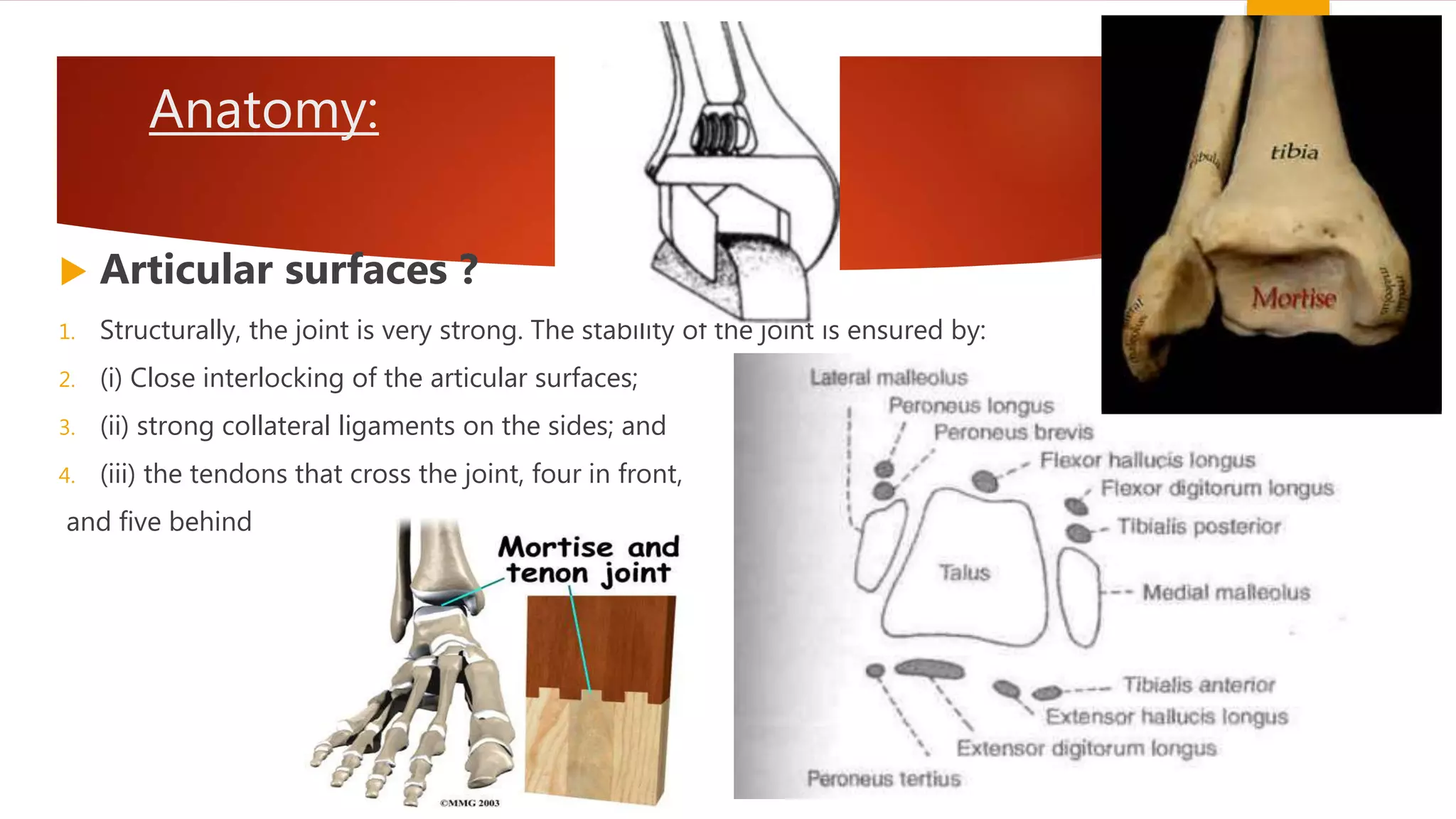 04 ankle fractures ppt | PPTX