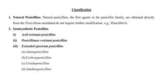 Penicillins | PDF