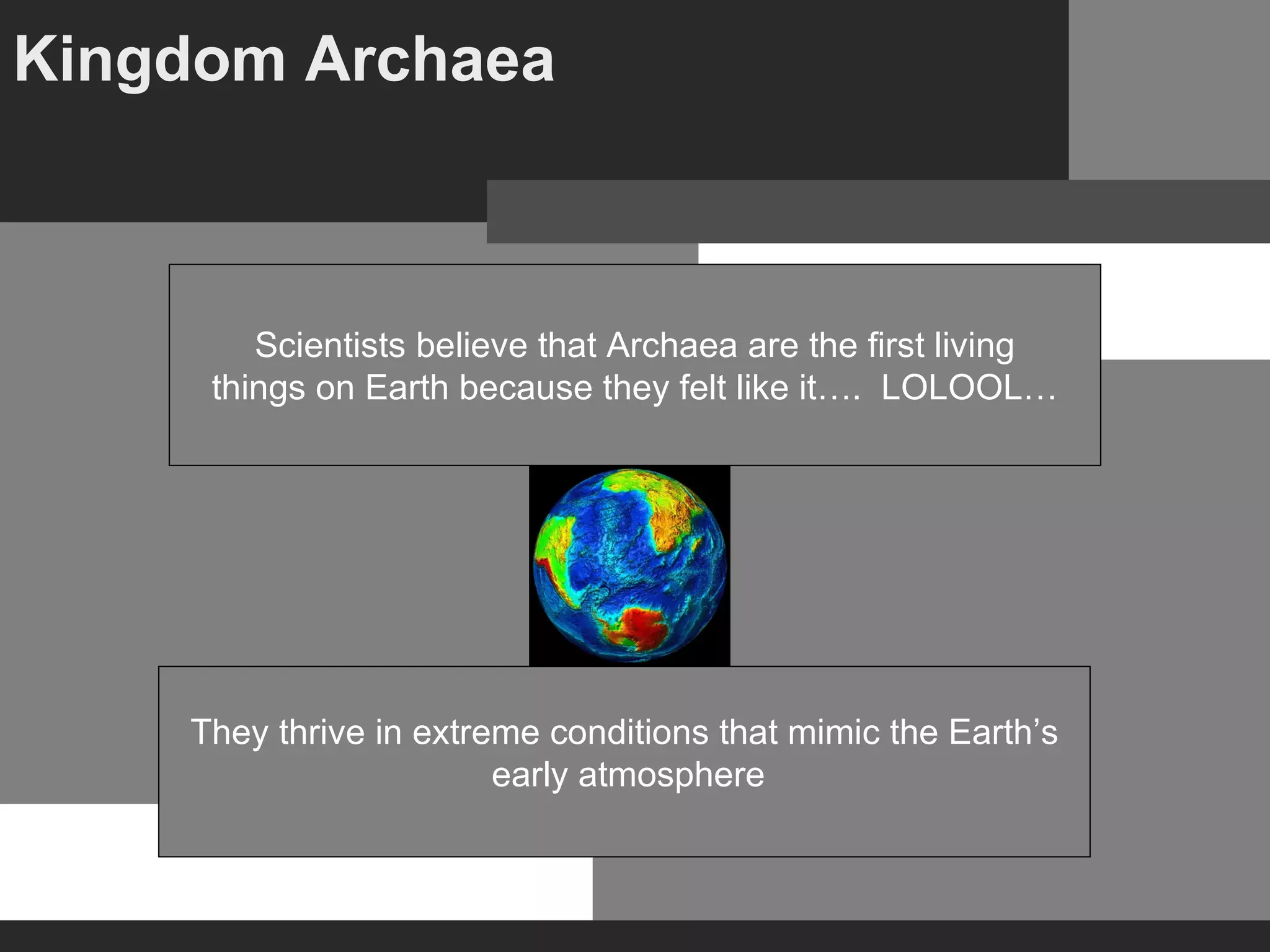 04 archae + bacteria | PPT
