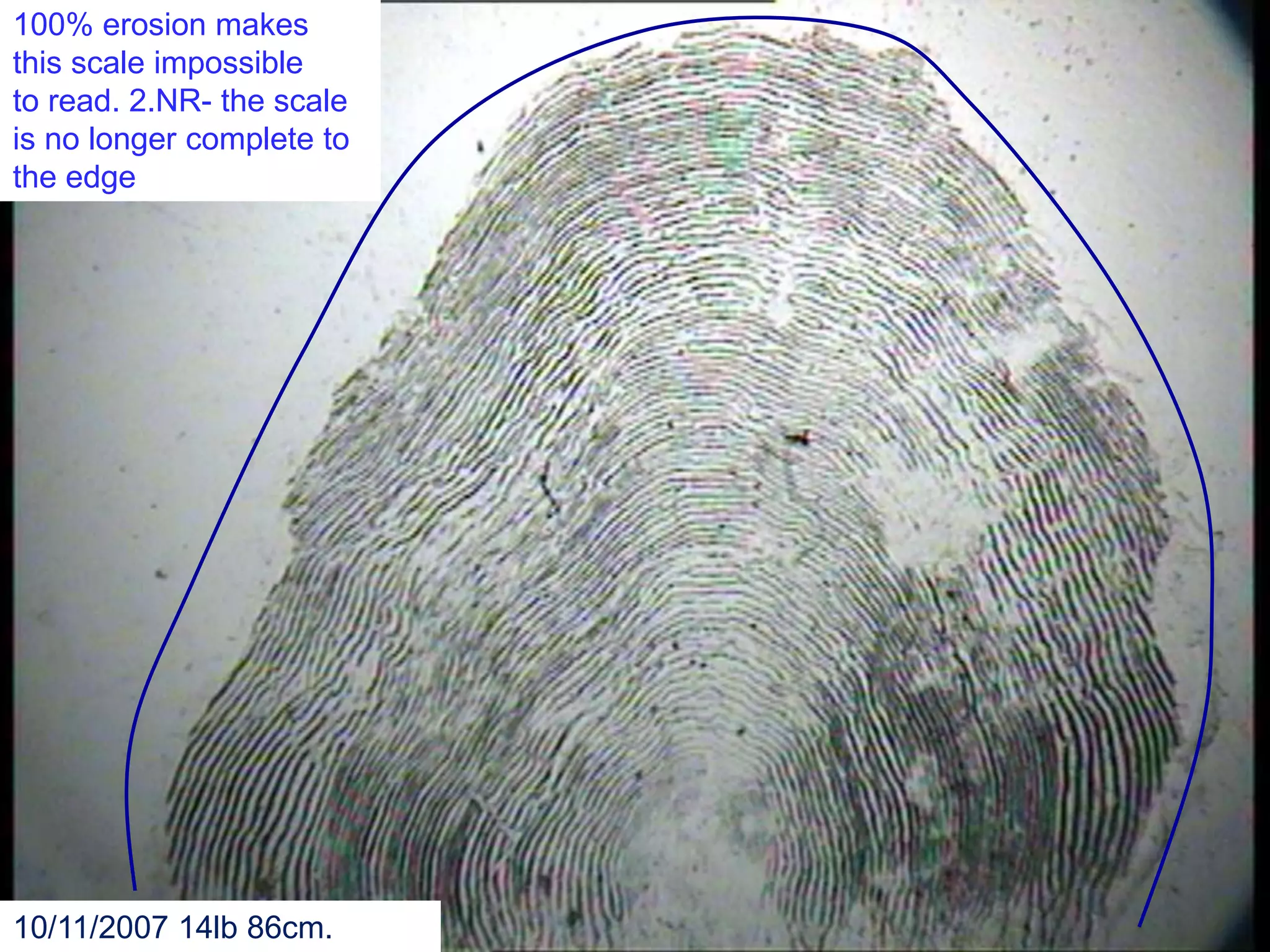 SFCC Scale Reading & Notation - 2017 | PPT | Free Download
