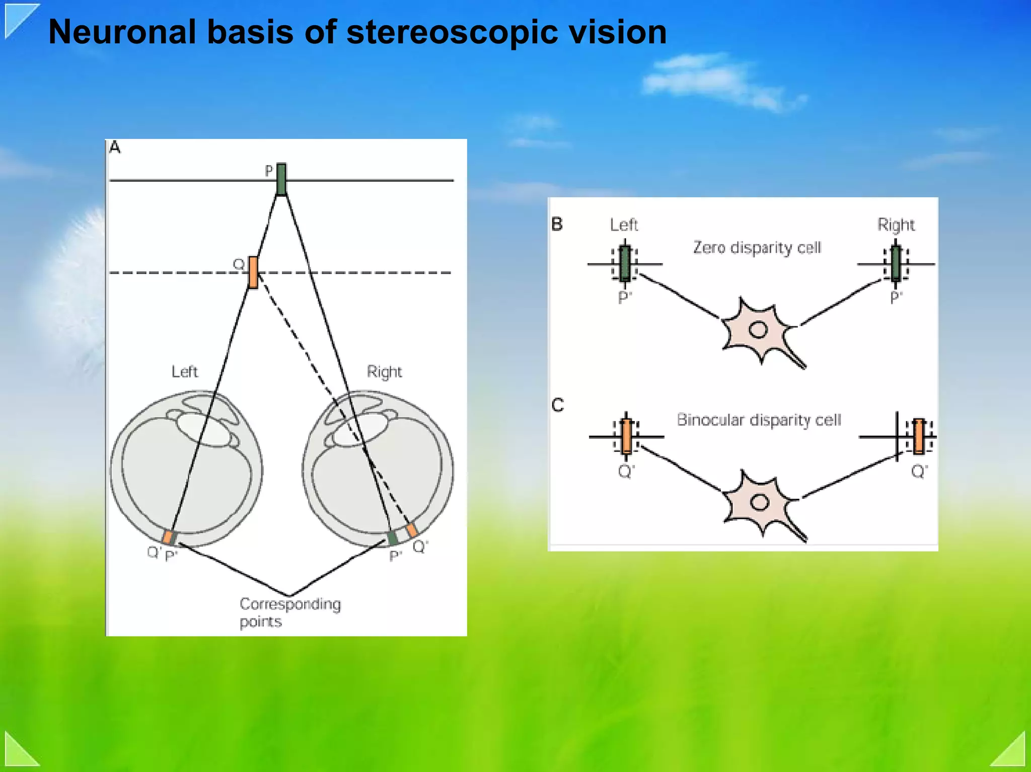04a visiual signal processing intorduction | PDF