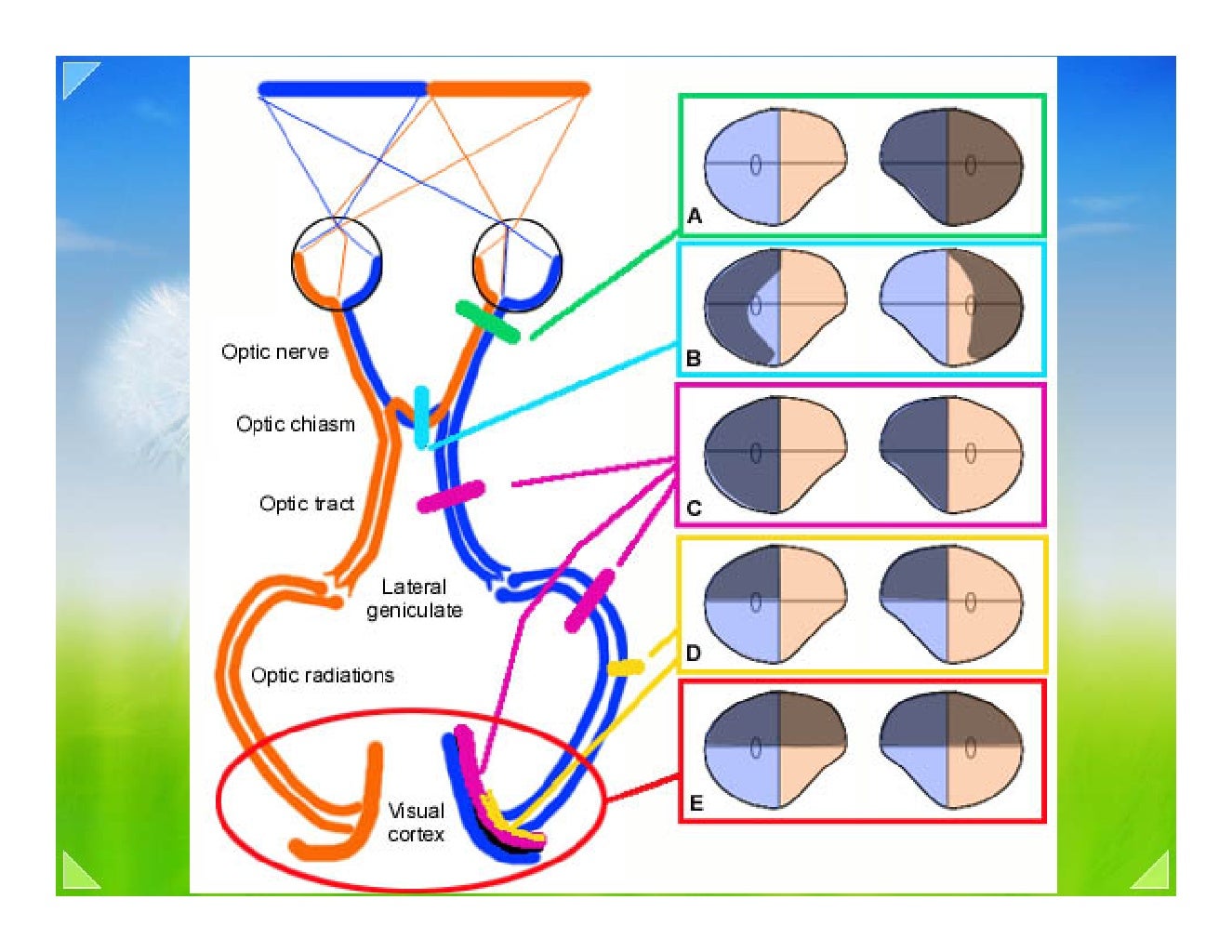 04a visiual signal processing intorduction