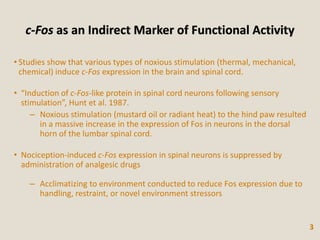 Using c-fos-like Immunoreactivity as a Neural Marker for Nociceptor ...