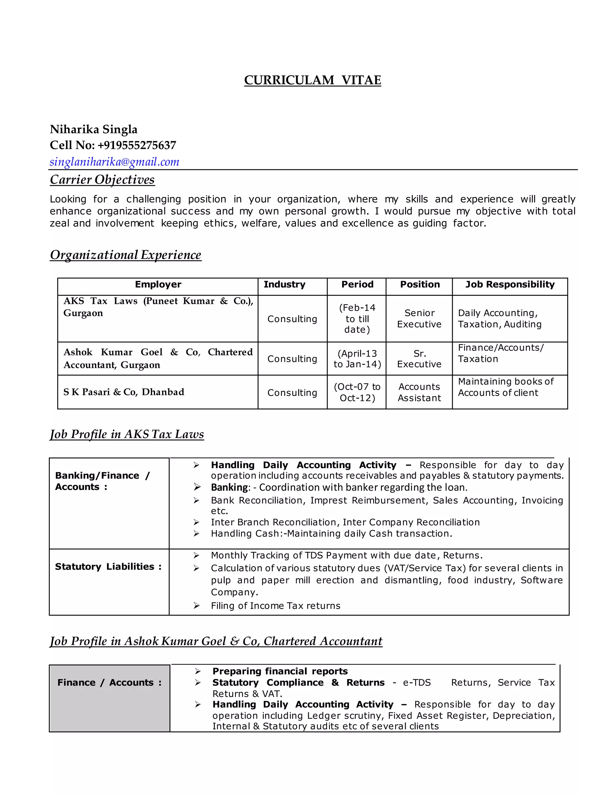 CV_Senior Executive_Finance | DOCX