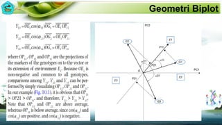 04b_Analisis Biplot untuk Kemiripan dan Hubungan Genetik.pdf