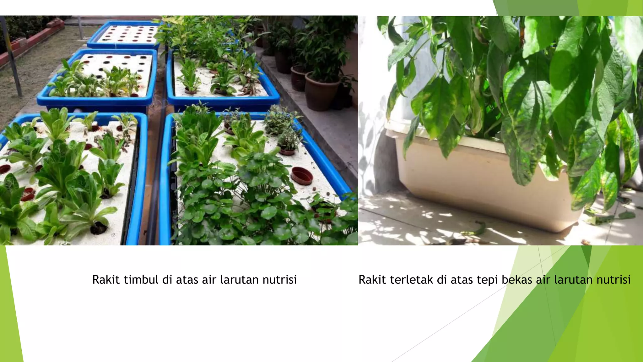 Berbagai bagai jenis hidroponik | PPT