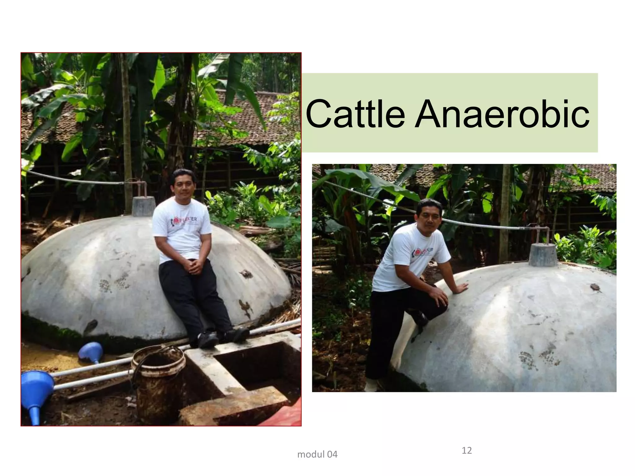 04 biological anaerobic system.pptx