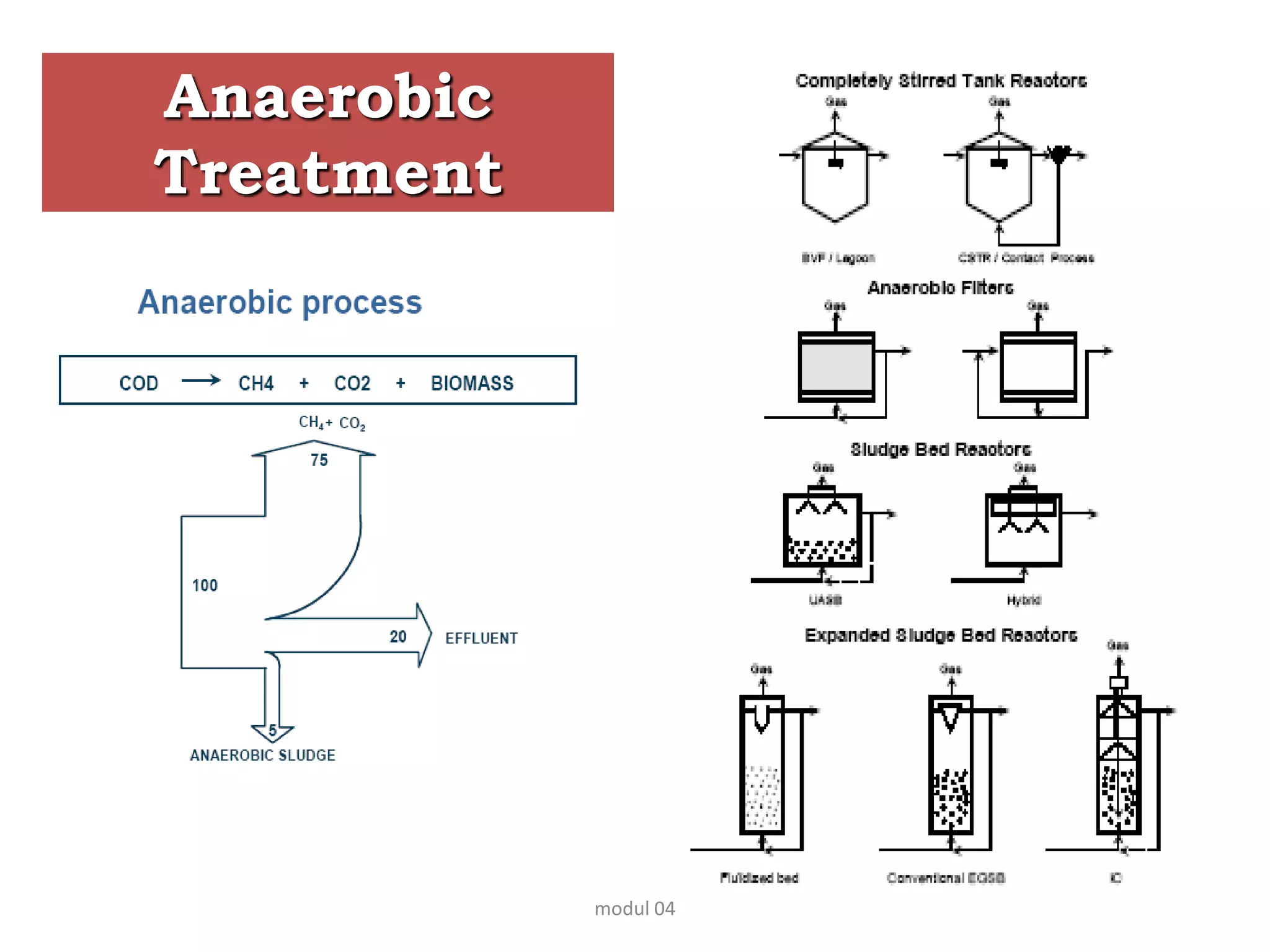 04 biological anaerobic system.pptx