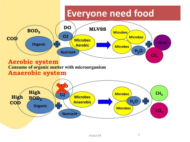 04 biological anaerobic system.pptx