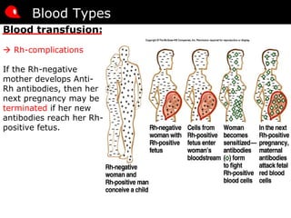 04 blood types | PPT