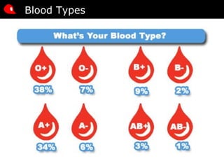 04 blood types | PPT