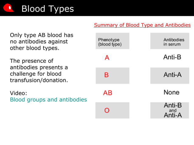 04 blood types | PPT | Free Download