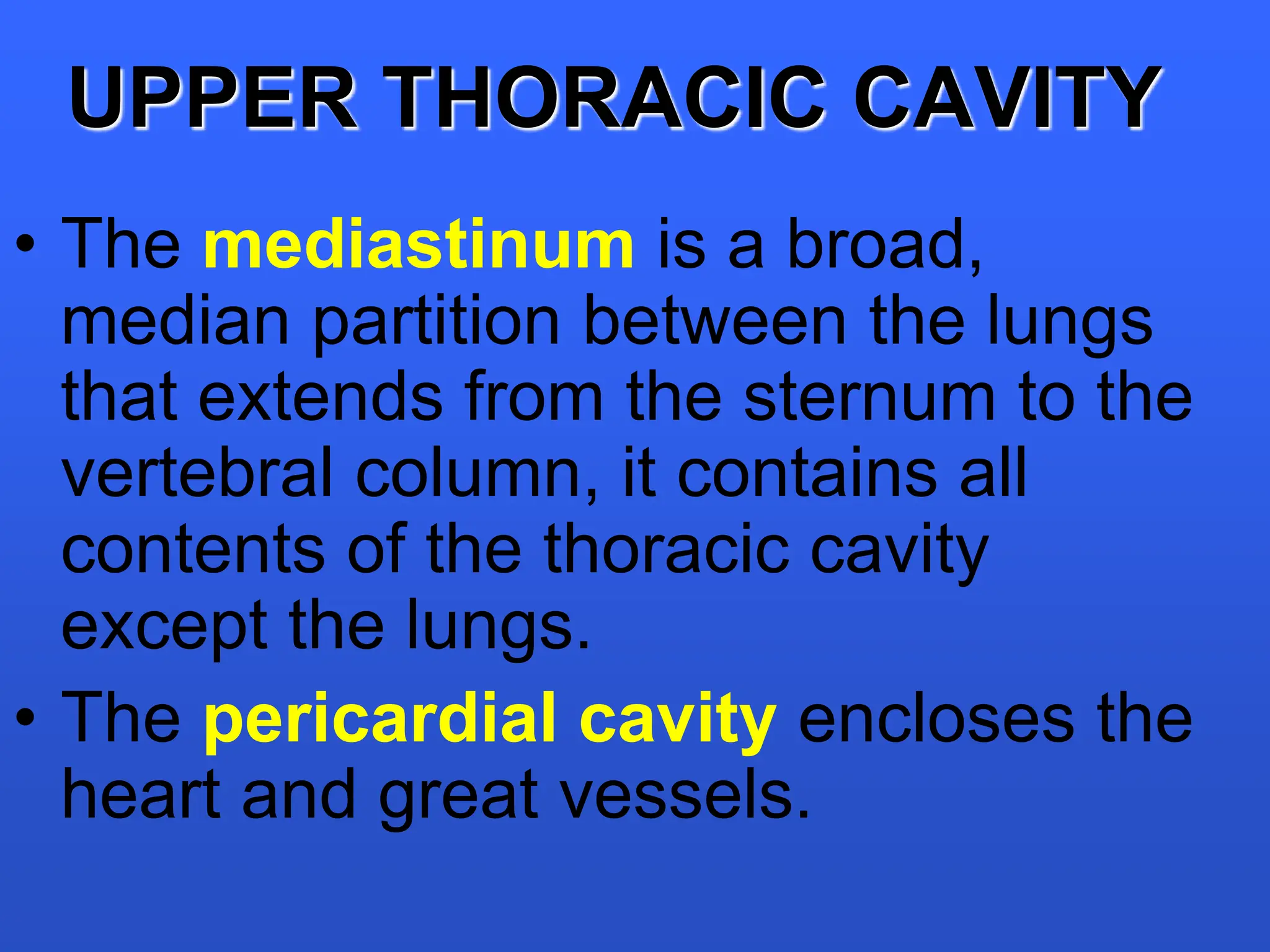 04 Body Cavities.ppttttttttttttttttttttt | PPT