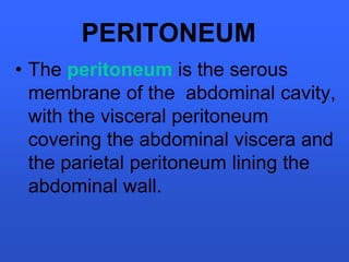 04 Body Cavities.ppttttttttttttttttttttt | PPT