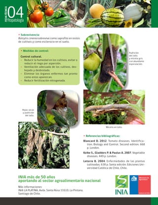 Botrytis en tomate | PDF