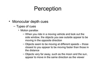 Sensation and perception | PPT