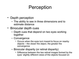 Sensation and perception | PPT