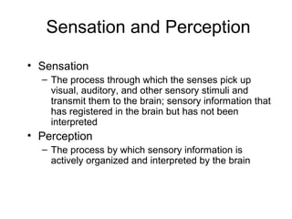 Sensation and perception | PPT