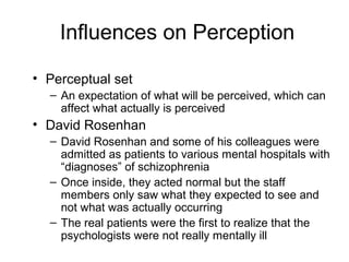 Sensation and perception | PPT