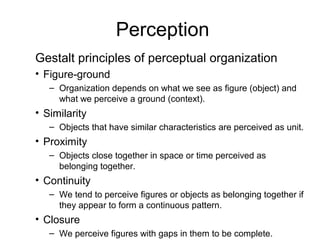 Sensation and perception | PPT