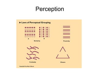 Sensation and perception | PPT