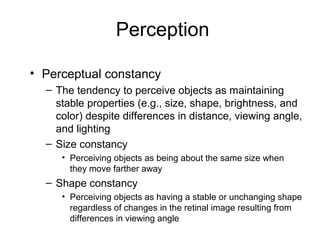 Sensation and perception | PPT