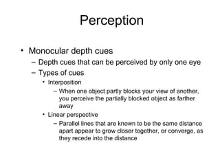Sensation and perception | PPT