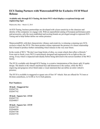 WCI SY10 Wheel | ODT