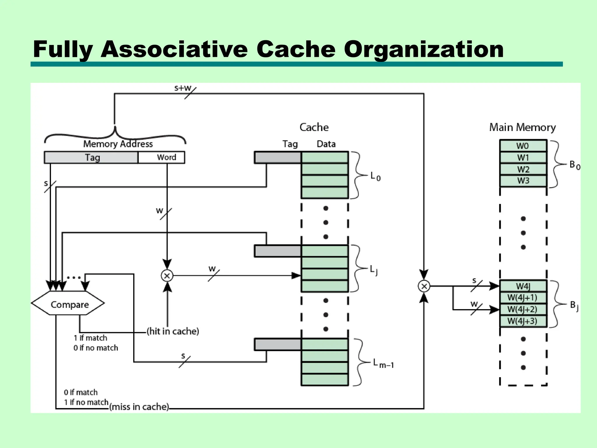 Detailed representation of Cache Memory. | PPT