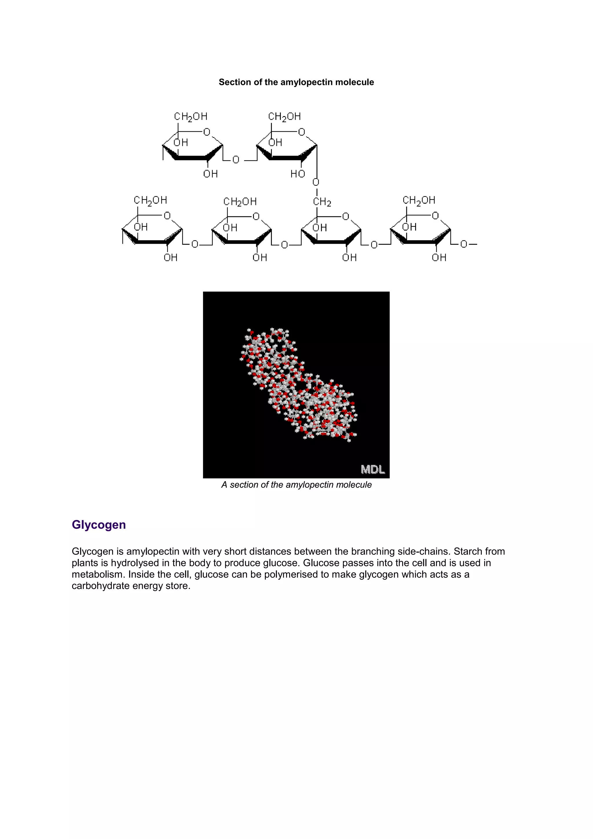 04_Carbohydrates.pdf