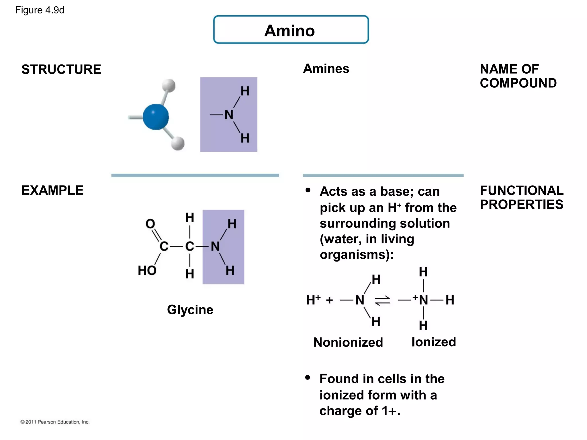 04 carbon and the molecular diversity of life | PPT