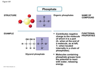 Organic Phosphate Molecule