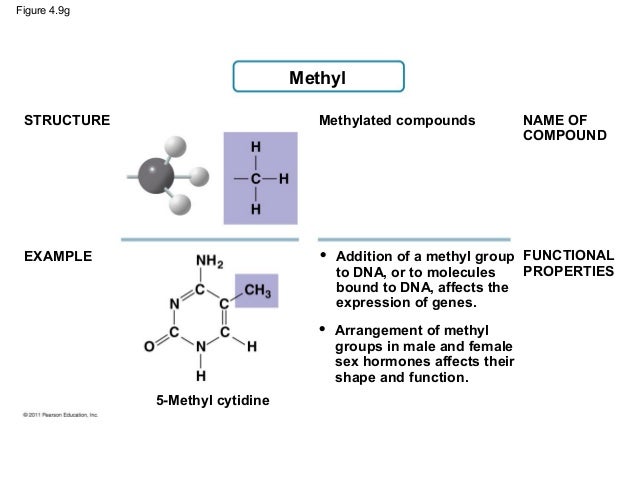 Methyl Functional Group